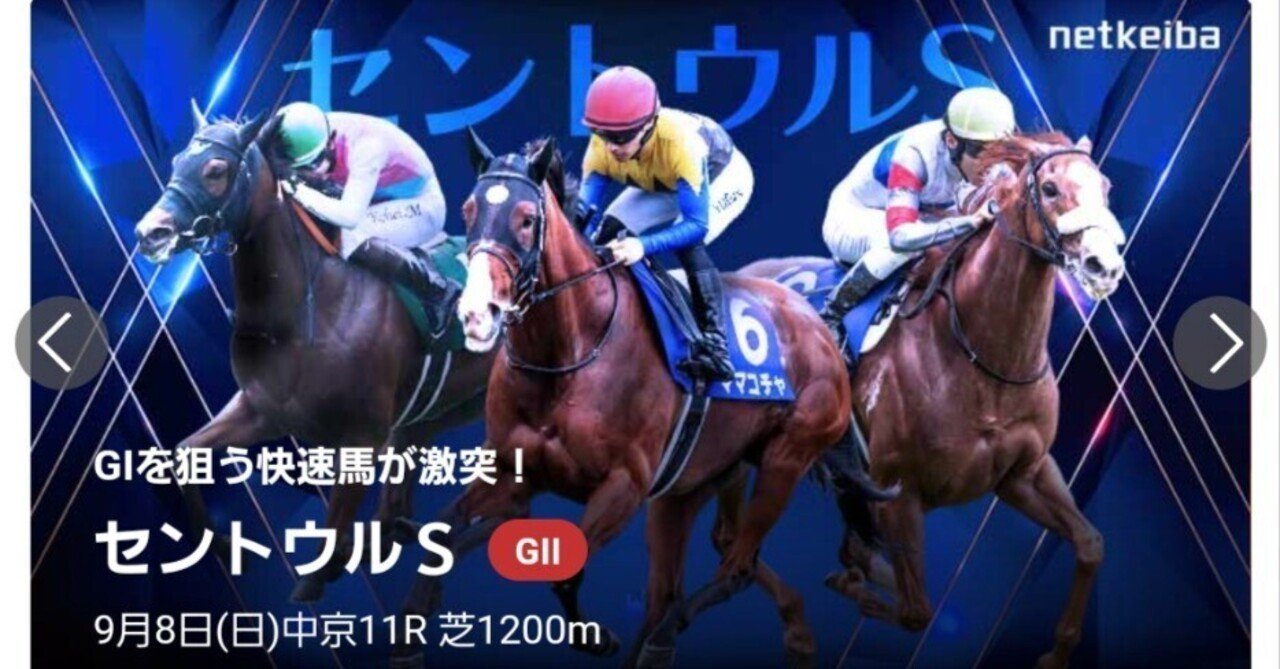 中京11R・セントウルS（G2）&中山11R・京成杯AH（G3）｜馬女子