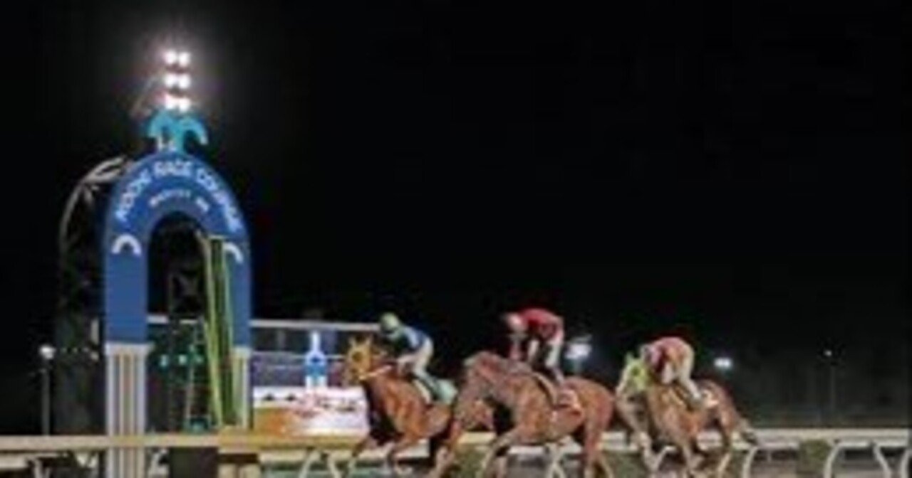 9月8日日高知競馬12r 🌌🌌ファイナル超絶勝負レース 12346月プラス達成‼️‼️‼️【2024年高知ファイナル的中実績】9