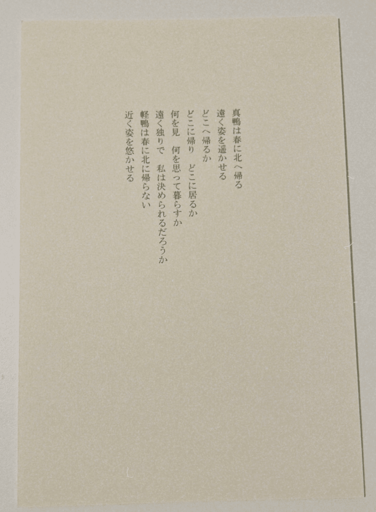 詩や散文のポストカード5種（2024文学フリマ大阪出店）｜西村二架 Nika Nishimura (Kazuki.N)