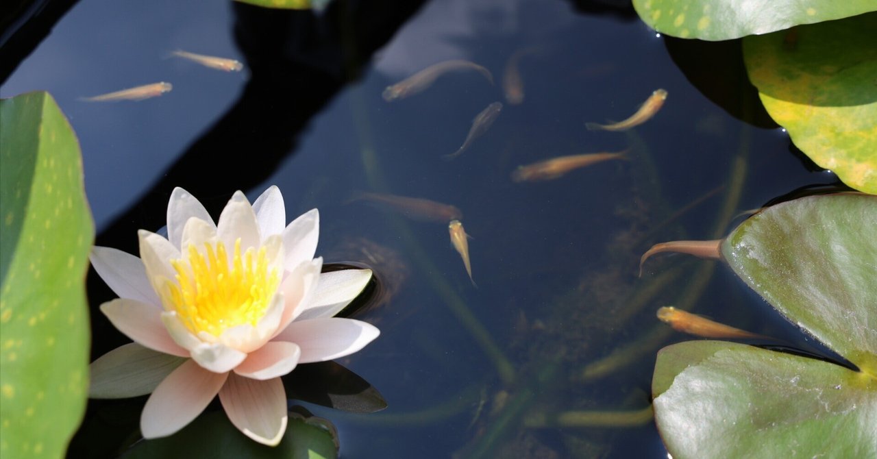 NicePapa 平野 尚志｜note