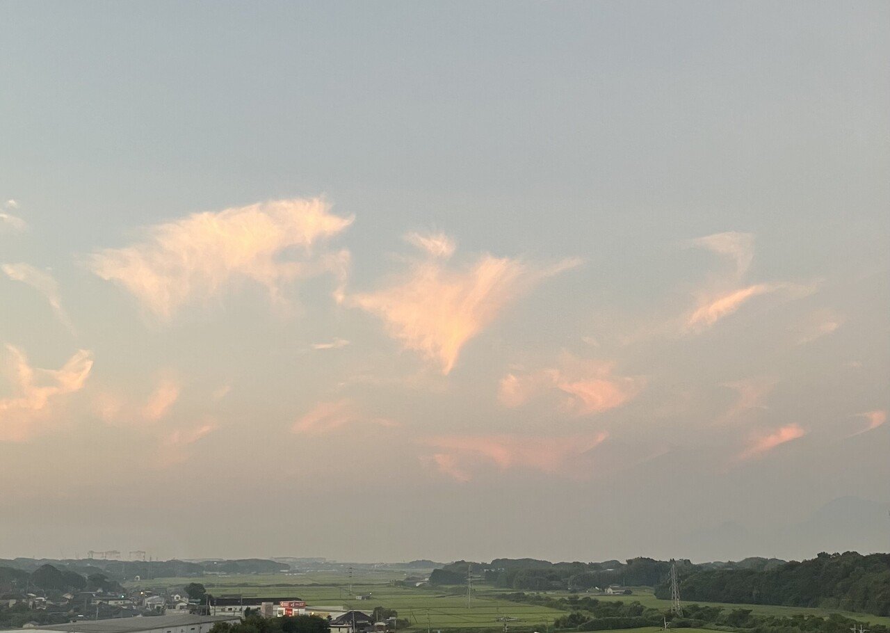 はるか_117｜note