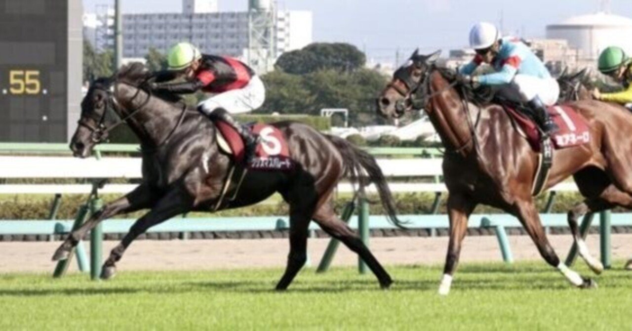 【紫苑S（G2）回顧～その先へ】日刊コンピ篇｜Haya