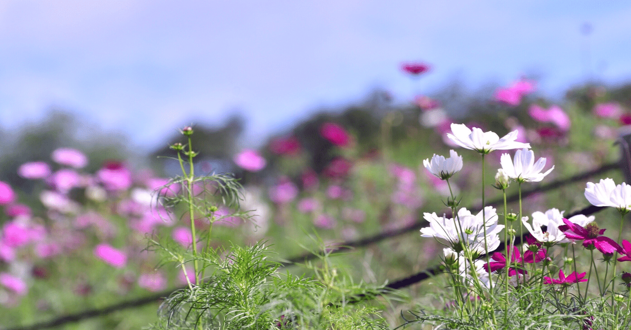 texworks の勉強 その 9｜blue06_2022