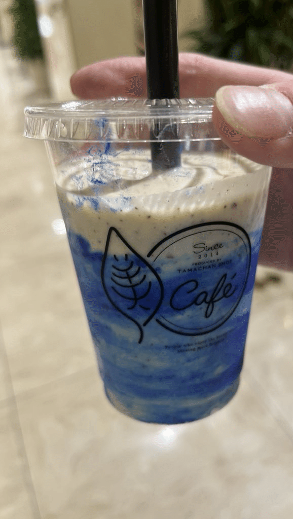 ひなたフェス2024 レポート｜haruki_zono / みはま応援クルー