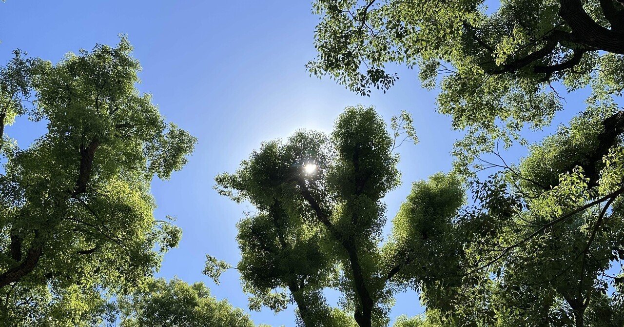 変化。｜Yuya Kikuchi