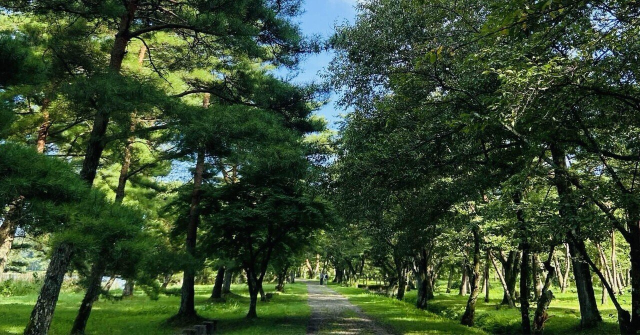 メッセージ🌳🐉 ｜Hakuto Eiko