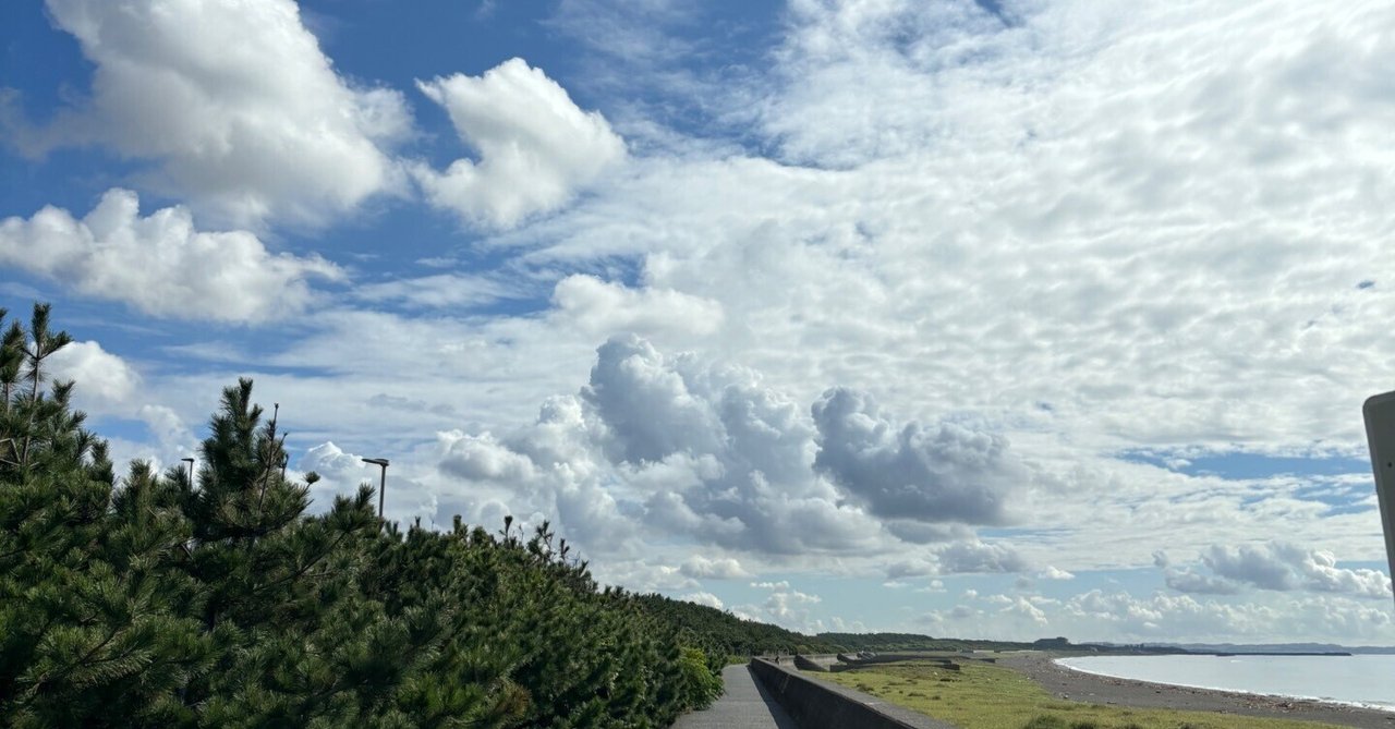 9月10日2024年｜aoyama isao