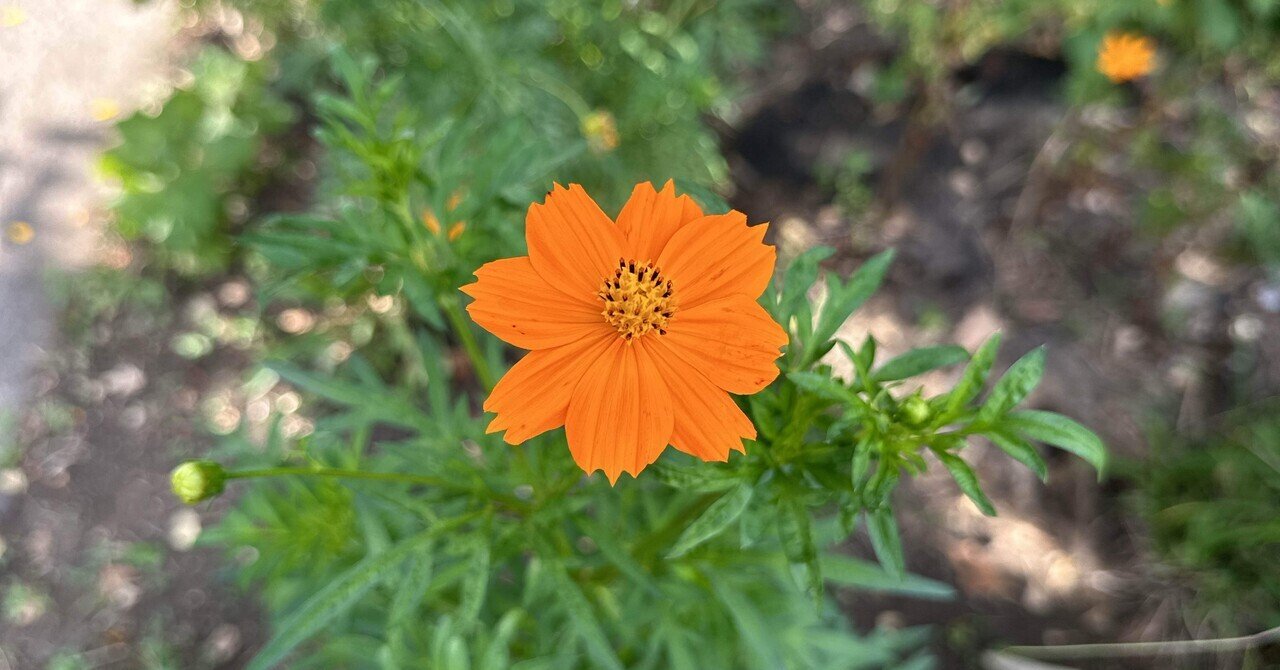 あの日から。｜Yuya Kikuchi