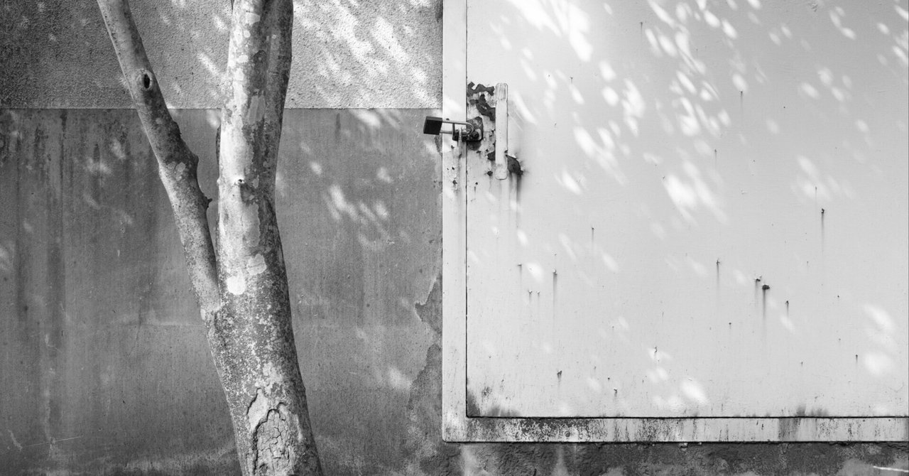 shot with blink｜ted_ozawa