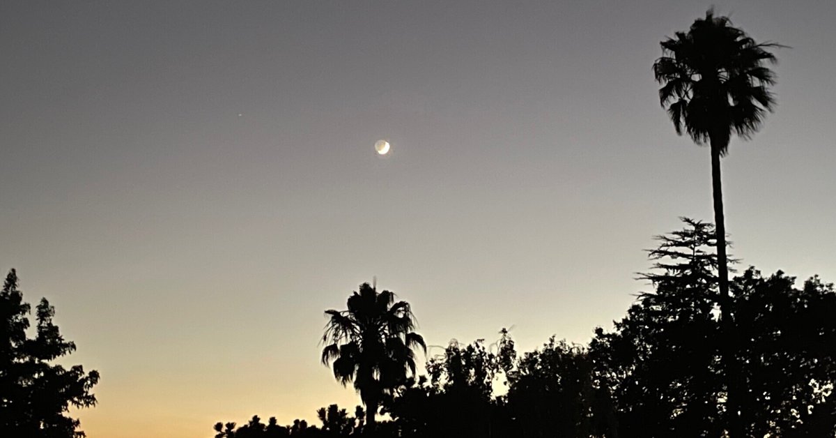 子どもの夢に執着してしまう自分への処方箋｜yasugo 超熱血ママから悟りママに大転身！