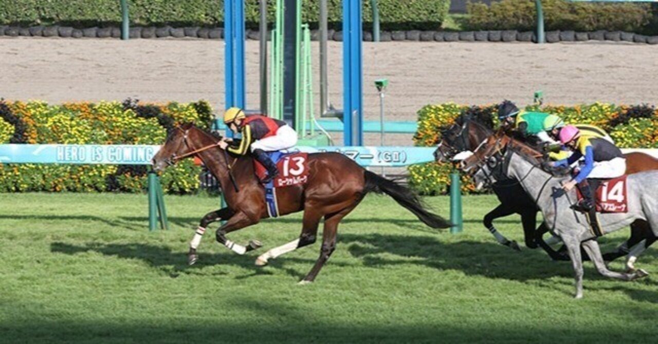 【2024 オールカマー（G2）】日刊馬番コンピ指数分析予想篇｜Haya