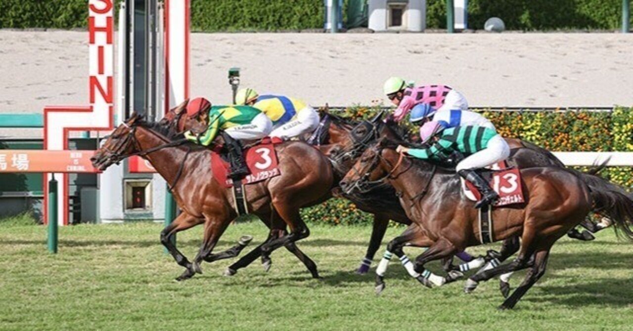 【2024 神戸新聞杯（G2）】日刊馬番コンピ指数分析予想篇｜Haya