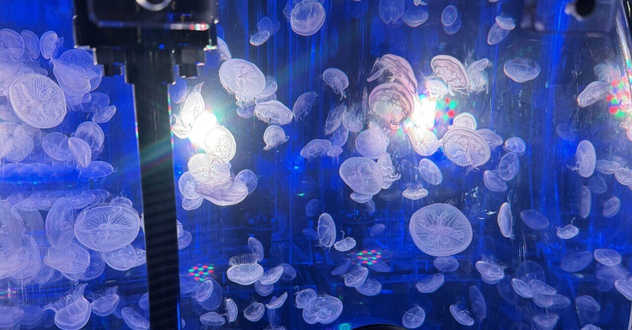 おきありちゃん／Oki Arisa｜note