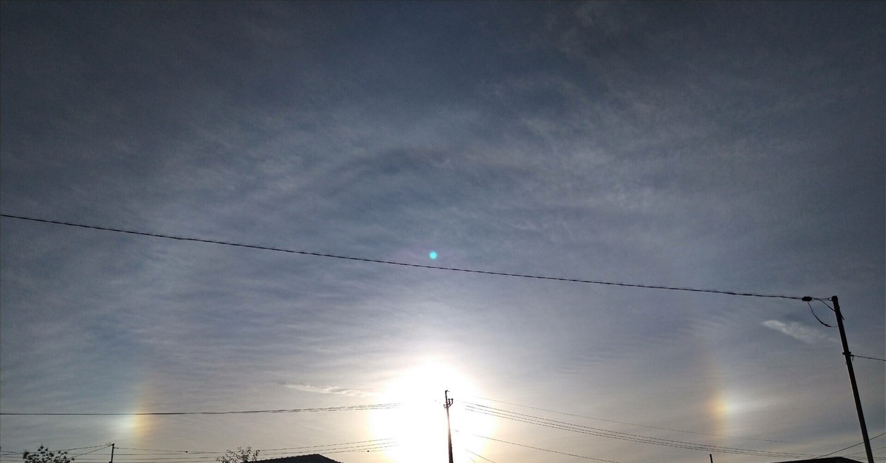 『隣の国の人々と出会う：韓国語と日本語のあいだ』斉藤真理子（2024）｜読書感想文｜Arai Nami