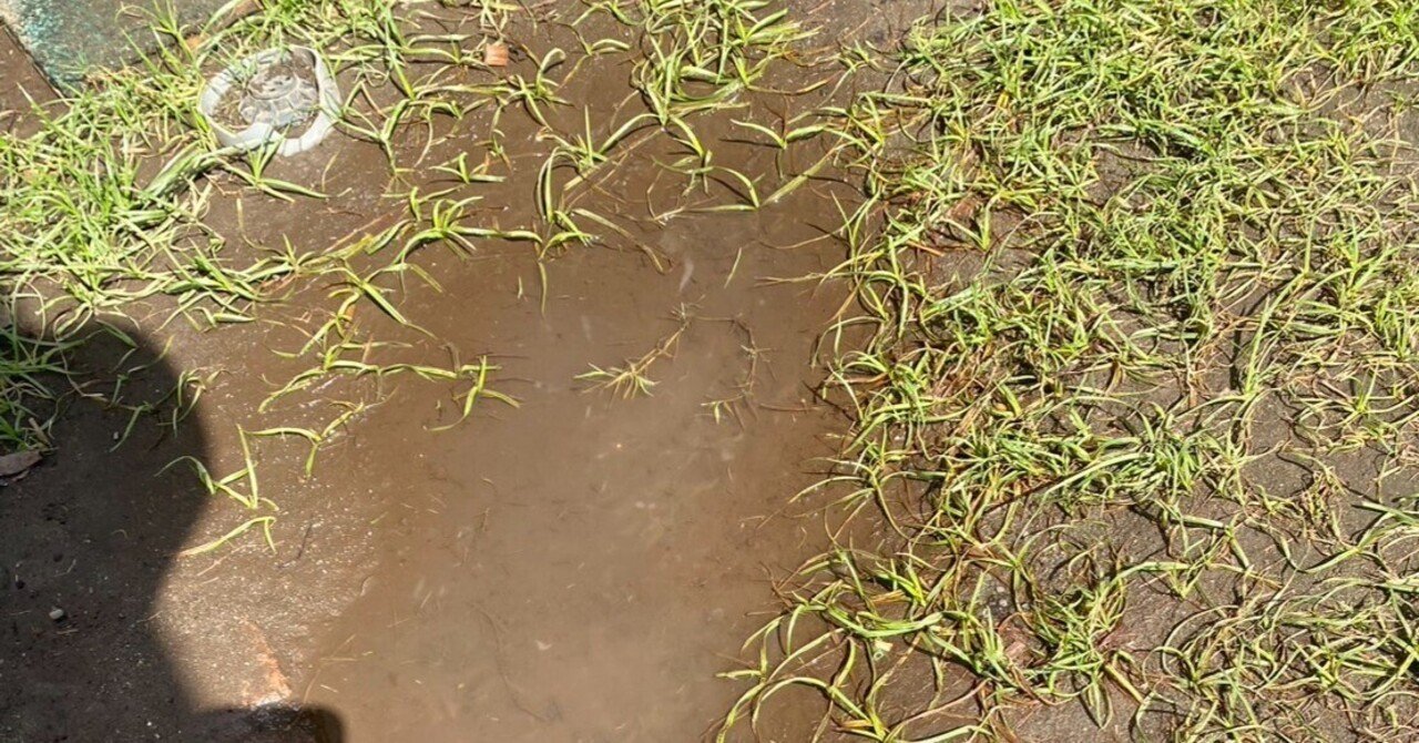 灌漑 Irrigation Timing （散水時刻） その⑦｜Ryuji KPIS