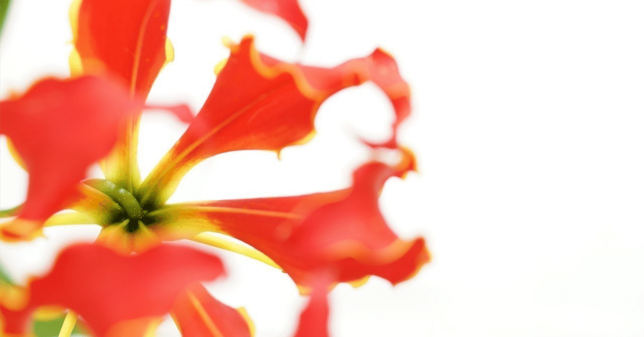 またまた休日｜Etsuko.N