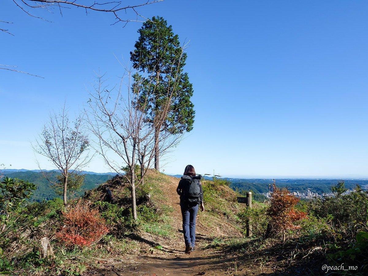 今日はあの山へ #3｜赤ぼっこ（東京都青梅市）｜peach@登山