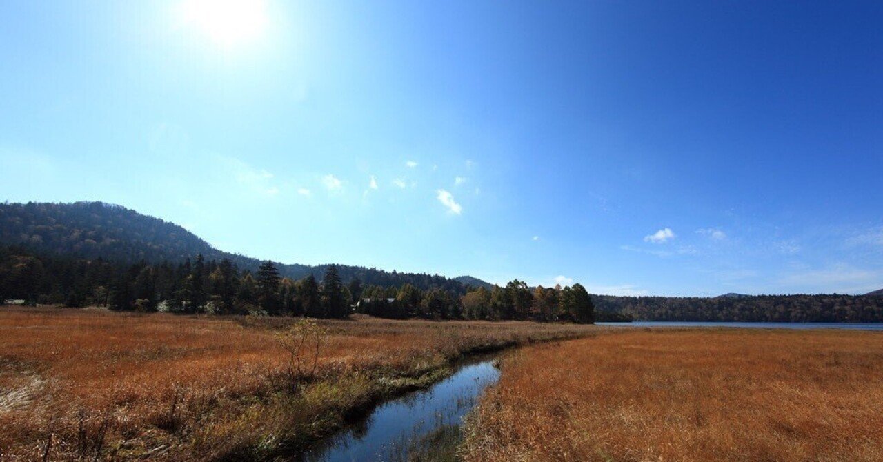 夏が過ぎると思い出す｜Kyoské OKA/暑寒 煮切