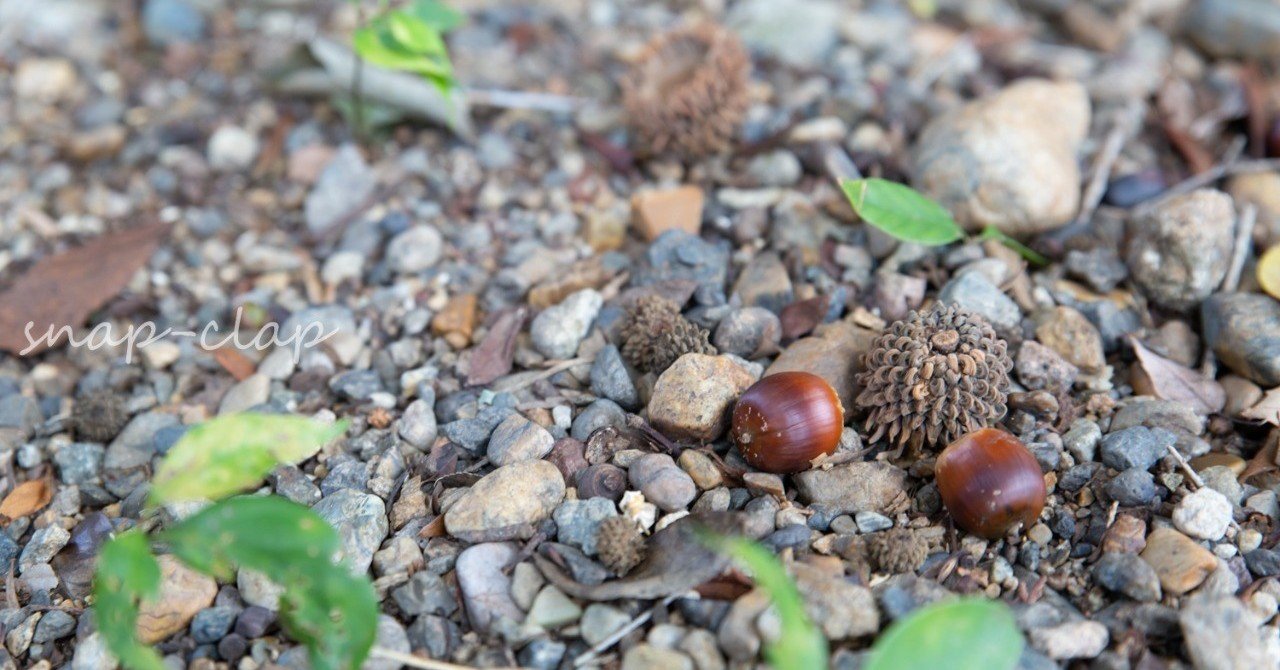 「これ、結婚式で泣くやつ」｜snap-clap！ ～ホームカメラマンmariko～