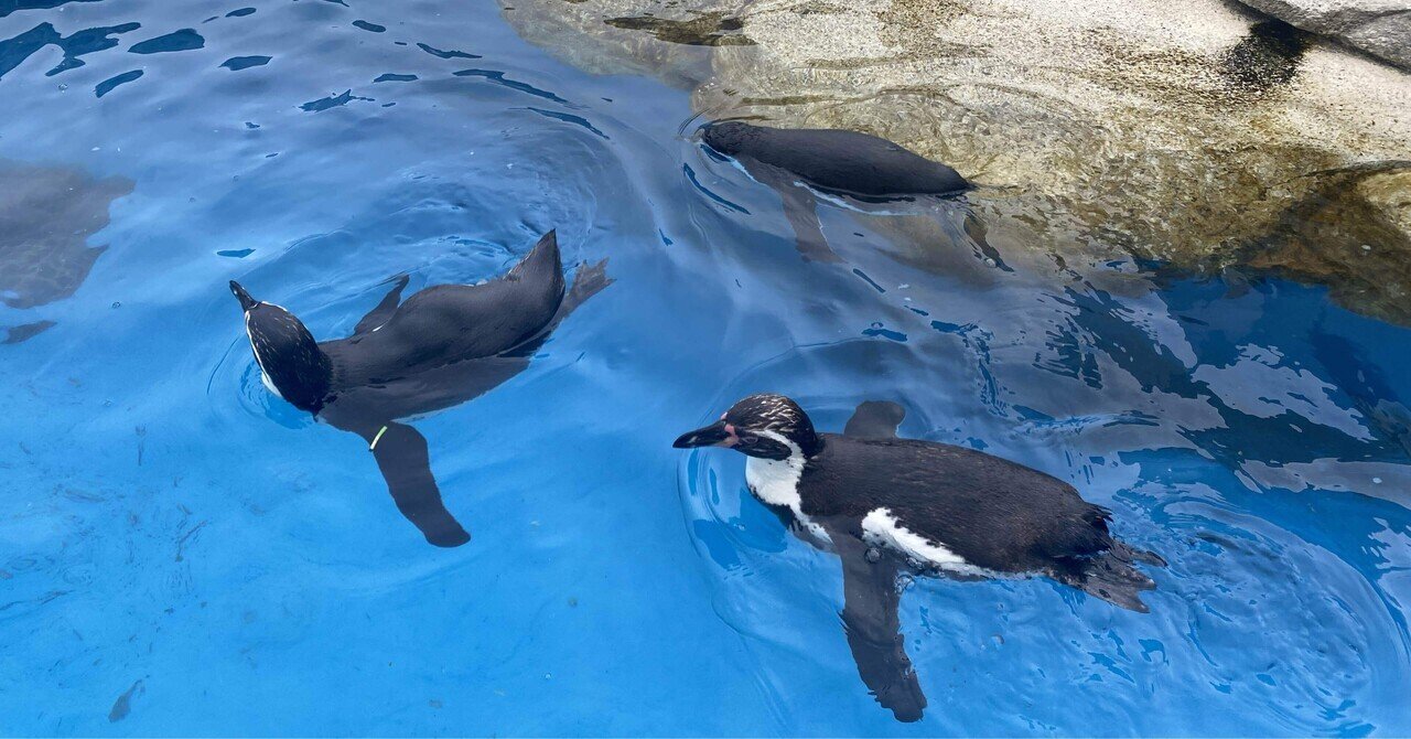 社会人3年目②｜chico