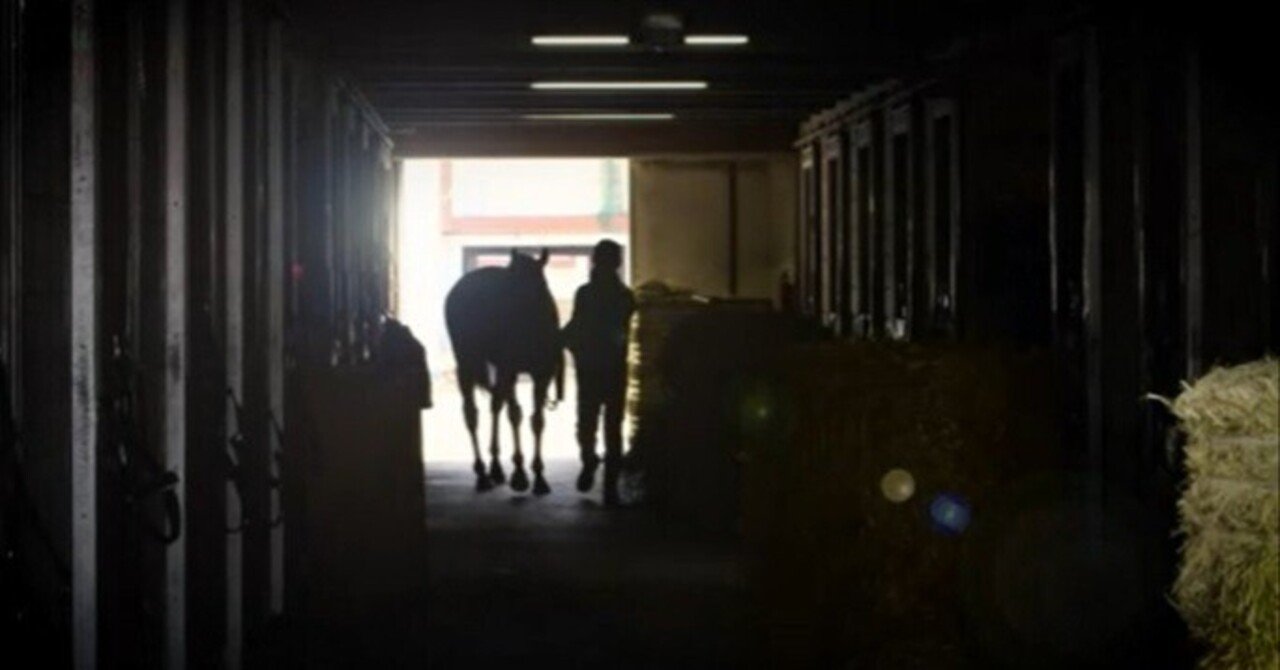 9月15日(日)中山・中京競馬 9R～12R実力値公開 14日(土)は万馬券連続3連発！。中山9Rは9万配当でした・・・。｜魔法 耳