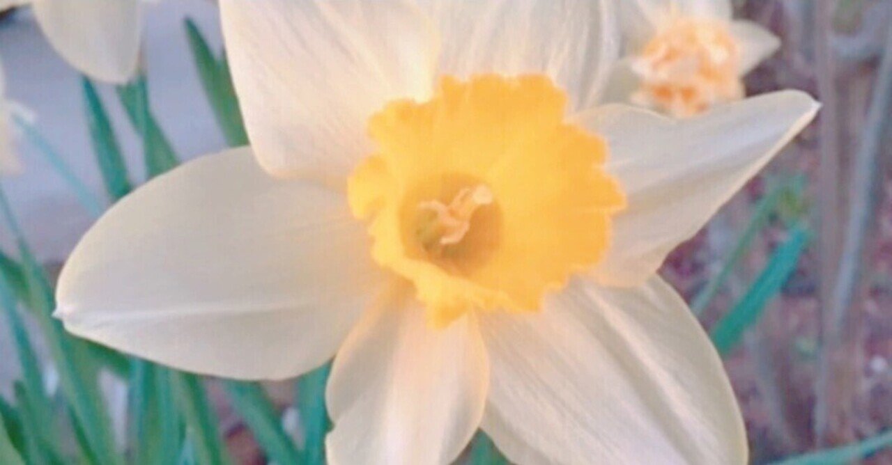 湯村りす (Yumura Risu)｜note