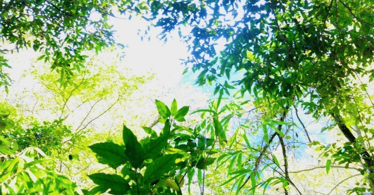 sqlite-vss情報集め｜SHO@DHGS