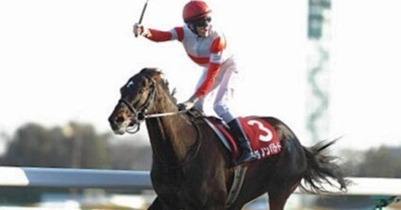 9/16(月)中山11R 15:45発走 セントライト記念👑｜単複の天ちゃん