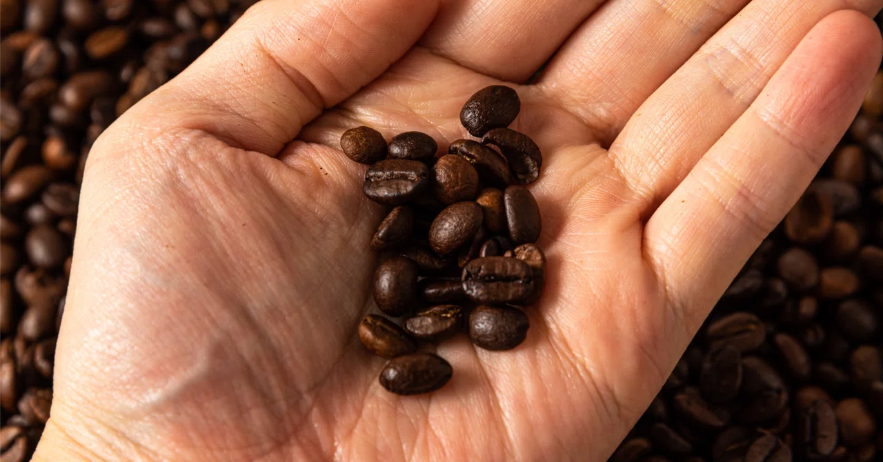 カフェインレスコーヒーはまずいは時代遅れ？最近のデカフェ事情とは｜KOBE BEANS