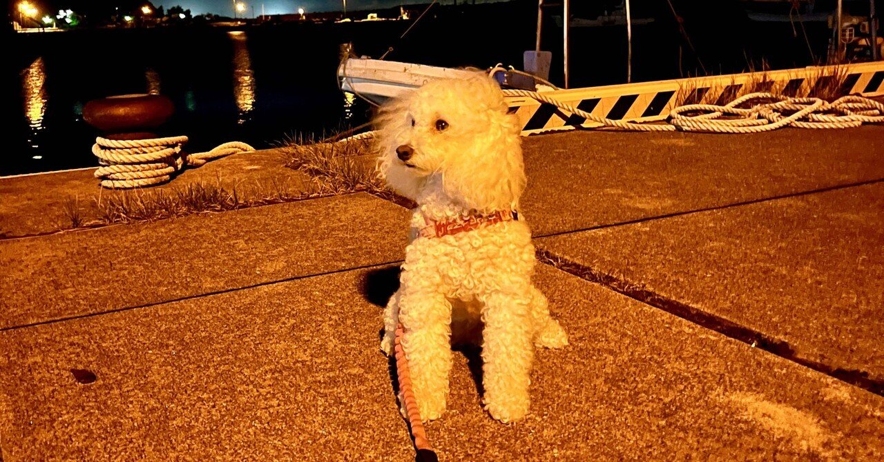 20240916 大間へ｜hiroaki maejima