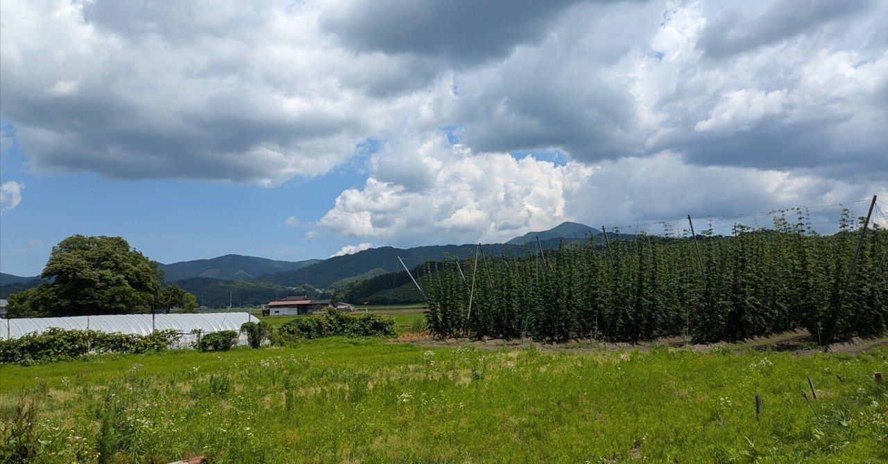 UNWIND&KOMOREBI｜note