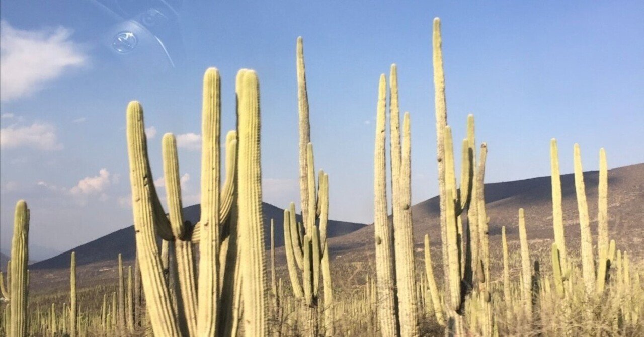 はじめてのnote/自己紹介｜Aya