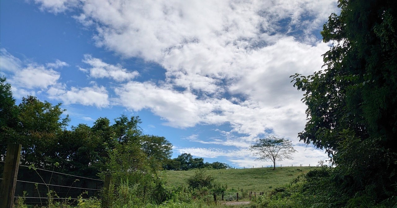 学ぶことが全ての…｜a_koda