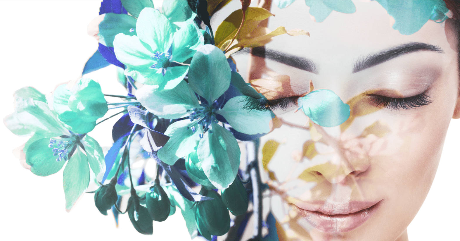 Dr.上野美律／Minori Ueno｜note