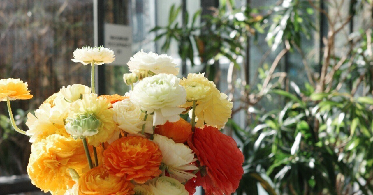 想いとデジタルの掛け算｜Koki Ono