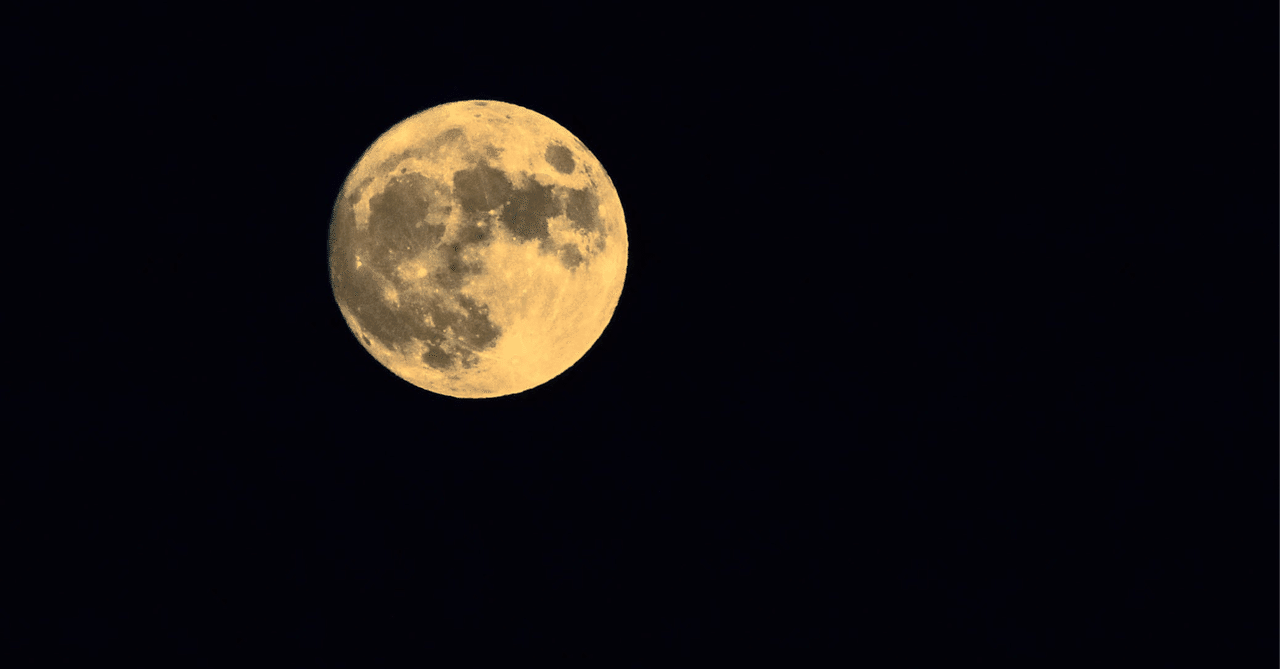 Makoto Shirasu｜note