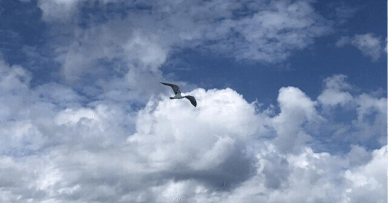 きっと彼らは羽ばたいていく｜鈴々堂/rinrin_dou@昭真