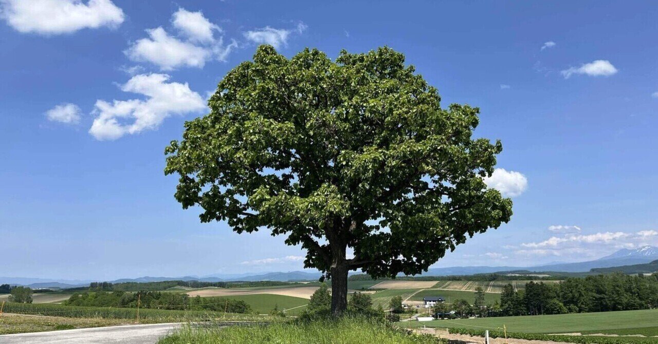 MLM うまくいかない言動！｜moco moco