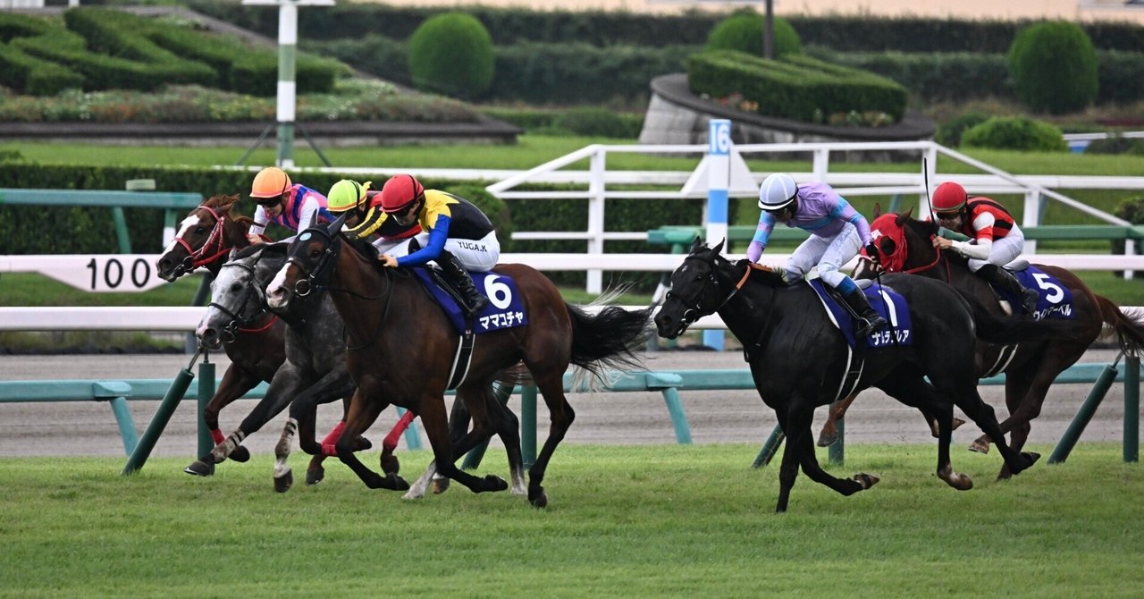 【2024 スプリンターズS（G1）】日刊馬番コンピ指数分析予想篇｜Haya