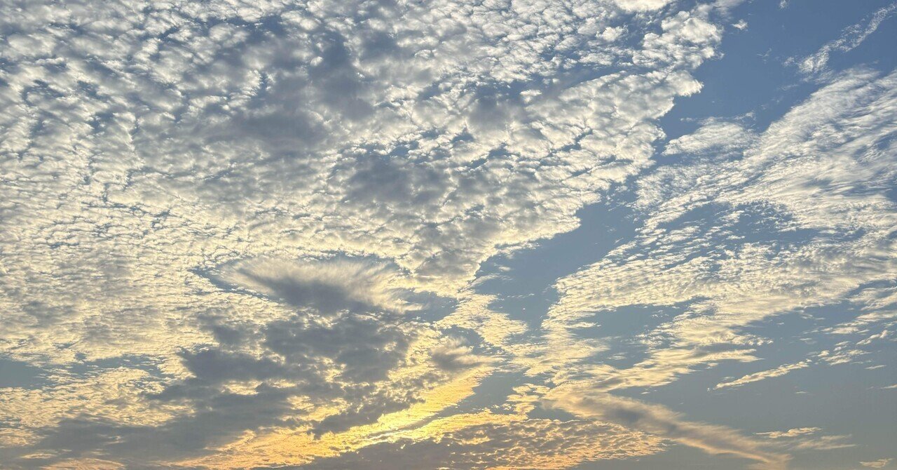 「赦せない」｜kyna miwako