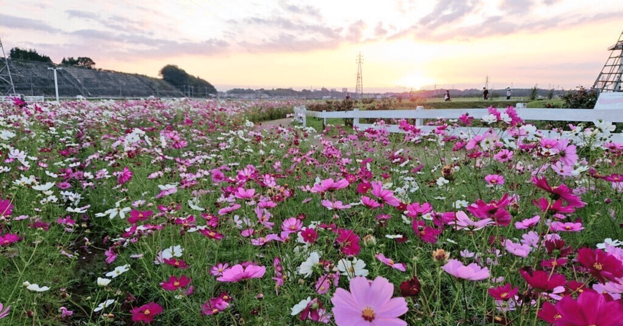 102. github 上の開発ツール群の更新作業を確定する｜Knowledge & Experience