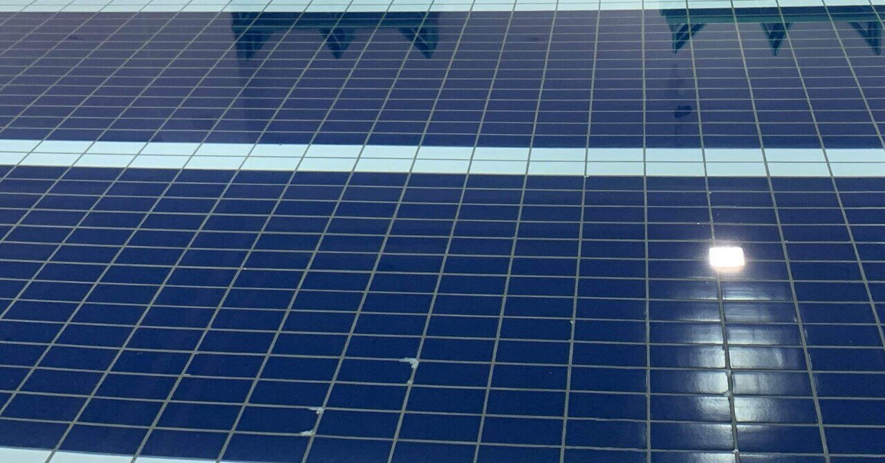 シーズン27 DAY222☀️｜まり蔵