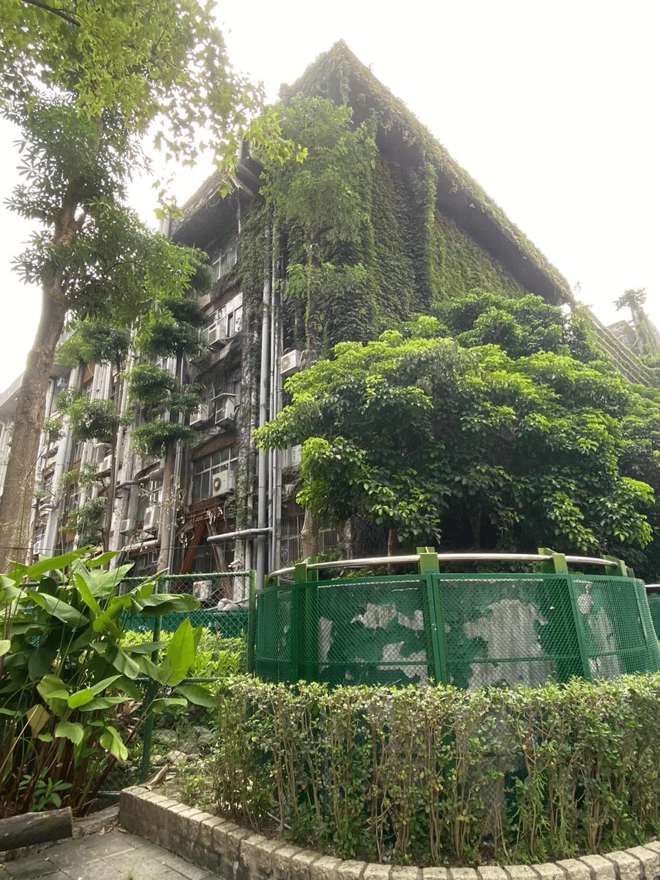 台湾・台北建築巡り〜森の中にあるような自然に囲まれたキャンパス｜東京の建築&アート巡りオタク@tanrock