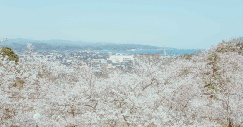 柴田 真衣 / Mai Shibata｜note