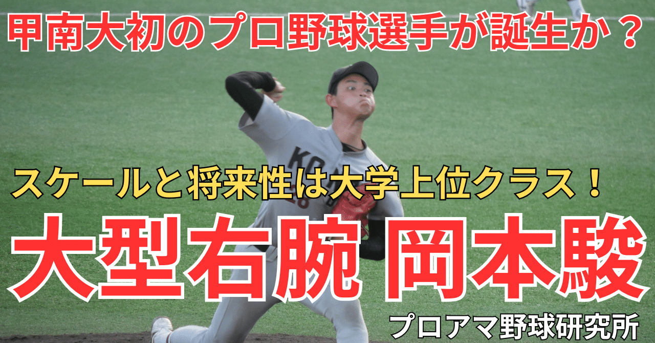 甲南大初のプロ選手が誕生か？“大型右腕”岡本駿にスカウトが熱視線！スケールと将来性は大学上位クラス｜プロアマ野球研究所（PABB‐lab）