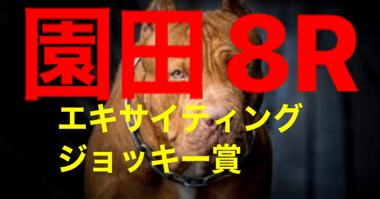 園田8R波乱あり勝負だぜ｜パドック師匠【PD master】公式🌐