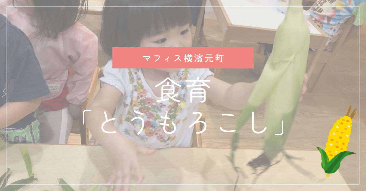 食育「とうもろこしの皮むきに夢中！」(マフィス横濱元町)｜Maffice -マフィス- | 保育note