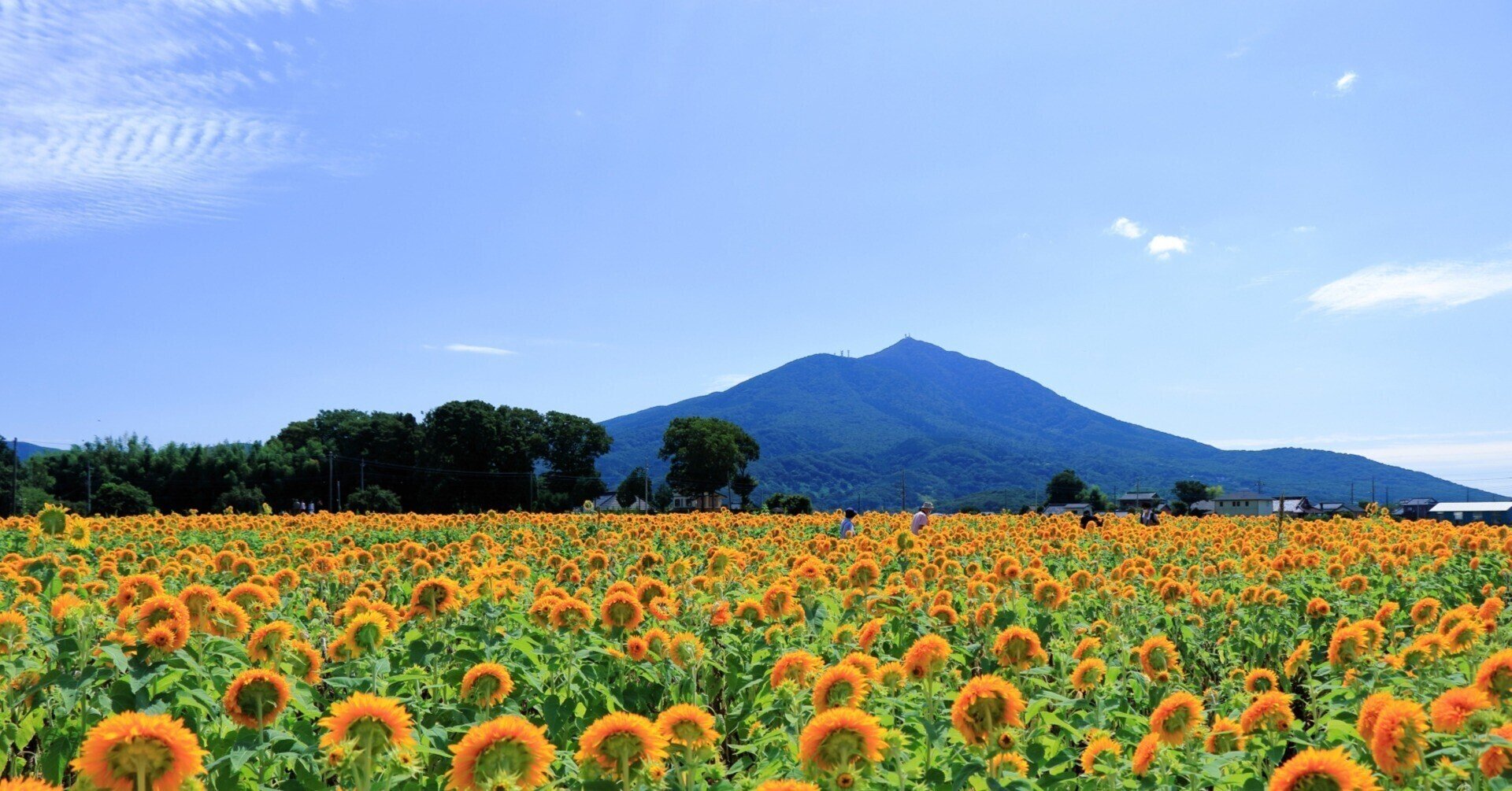 Chikuseツーリズム｜note