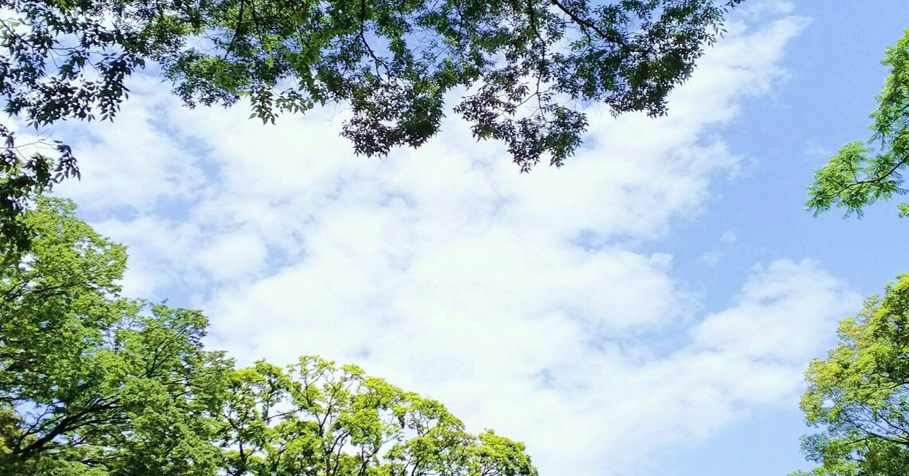 UNWIND&KOMOREBI｜note