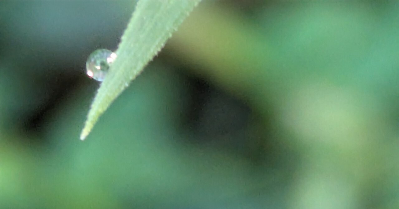 水滴美術館〜先っちょ｜ichiro70